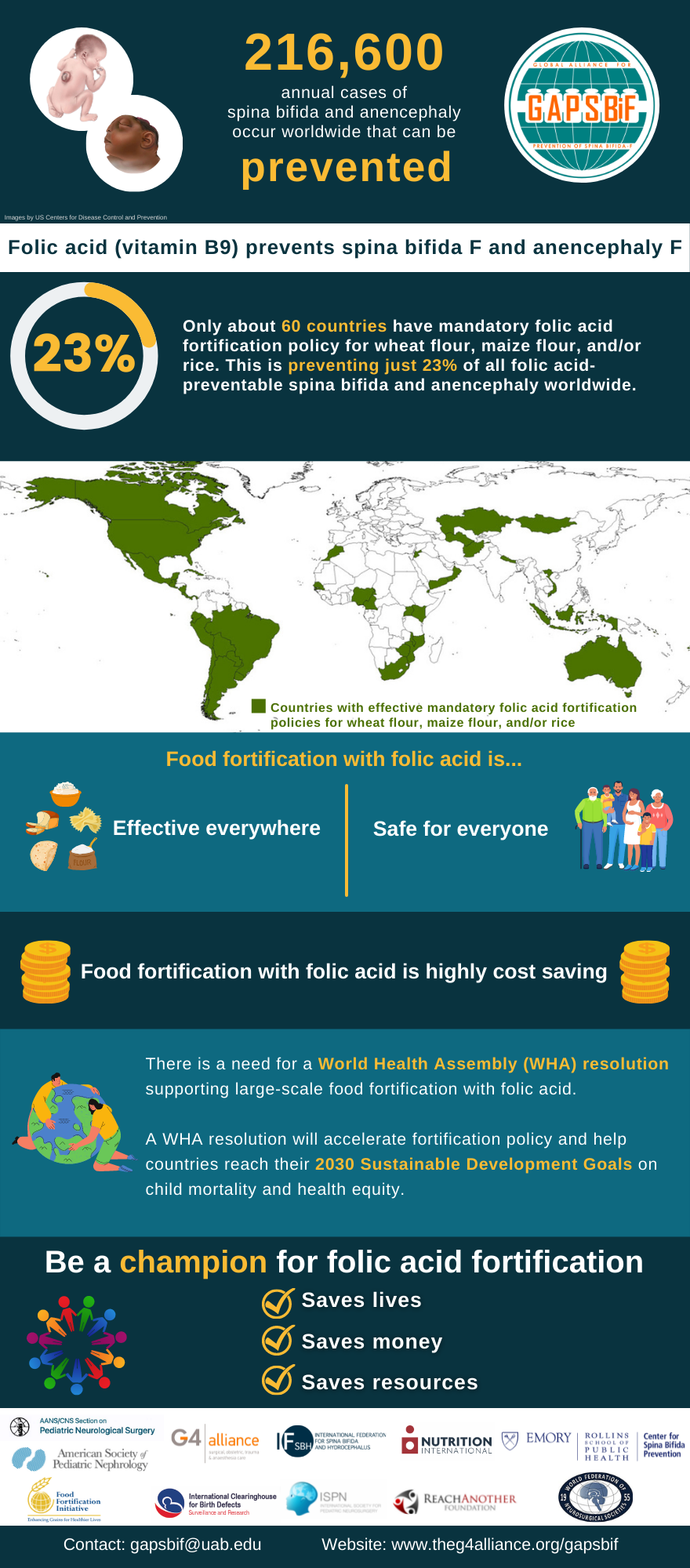 A WHA Resolution: Folic Acid Fortification to Prevent Spina Bifida - IF ...