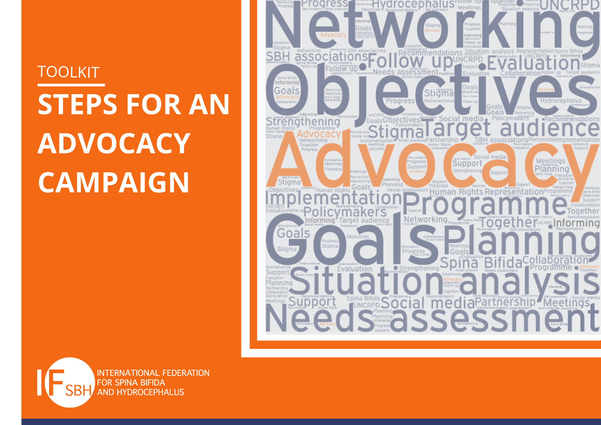 IF Toolkit - Steps for an Advocacy Campaign - IF Global
